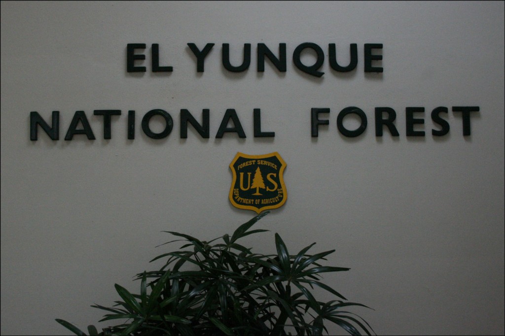 El Yunque Rainforest, Puerto Rico | Steve's Genealogy Blog