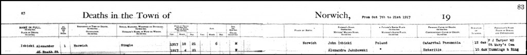 The Death of Alexander John Izbicki – 1917 | Steve's Genealogy Blog